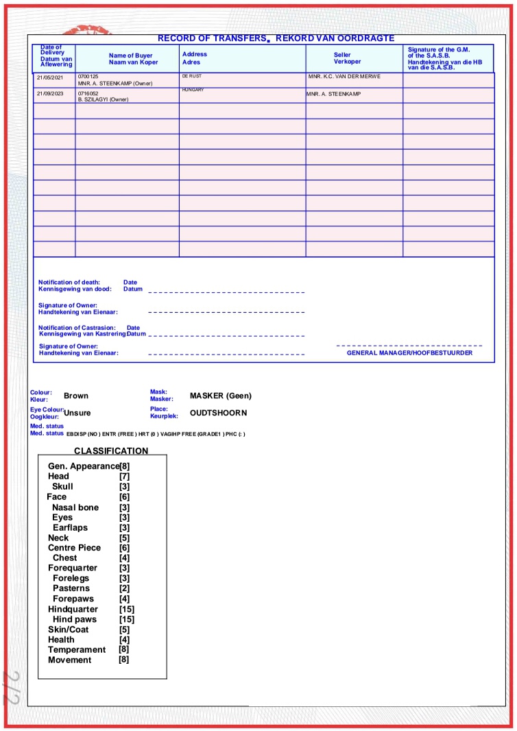 Elevation Stud Ruby 87.1% - Samson boerboels